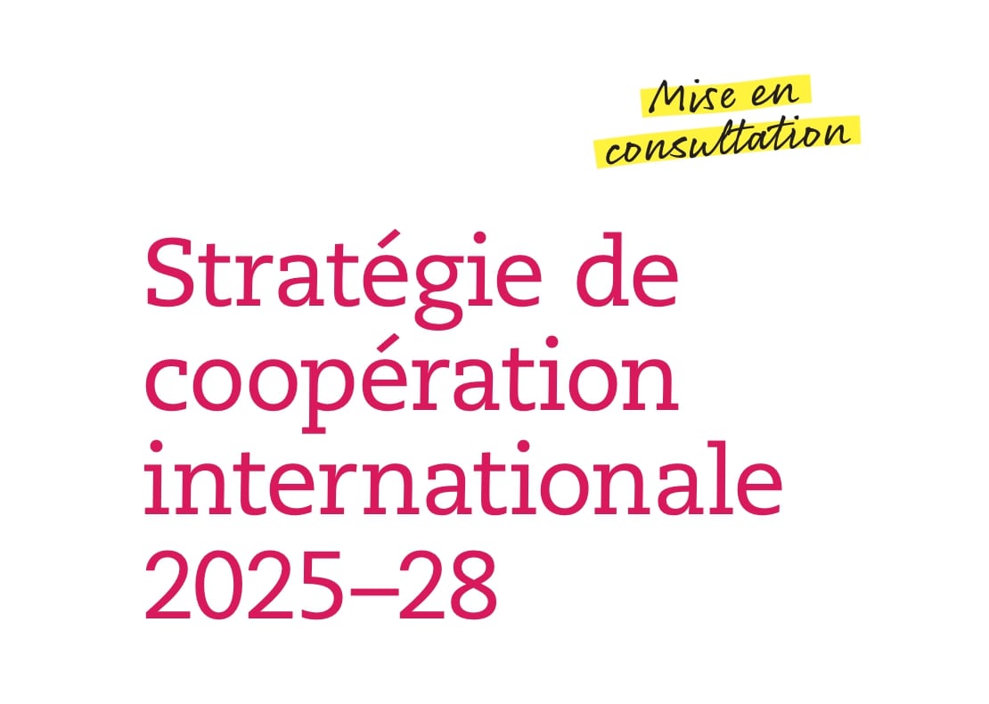RECI statement on the Swiss International Cooperation Strategy 2025-2028 | RECI